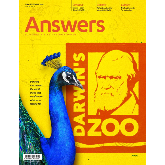 Answers Magazine - Vol. 19.3 | Answers In Genesis UK/Europe