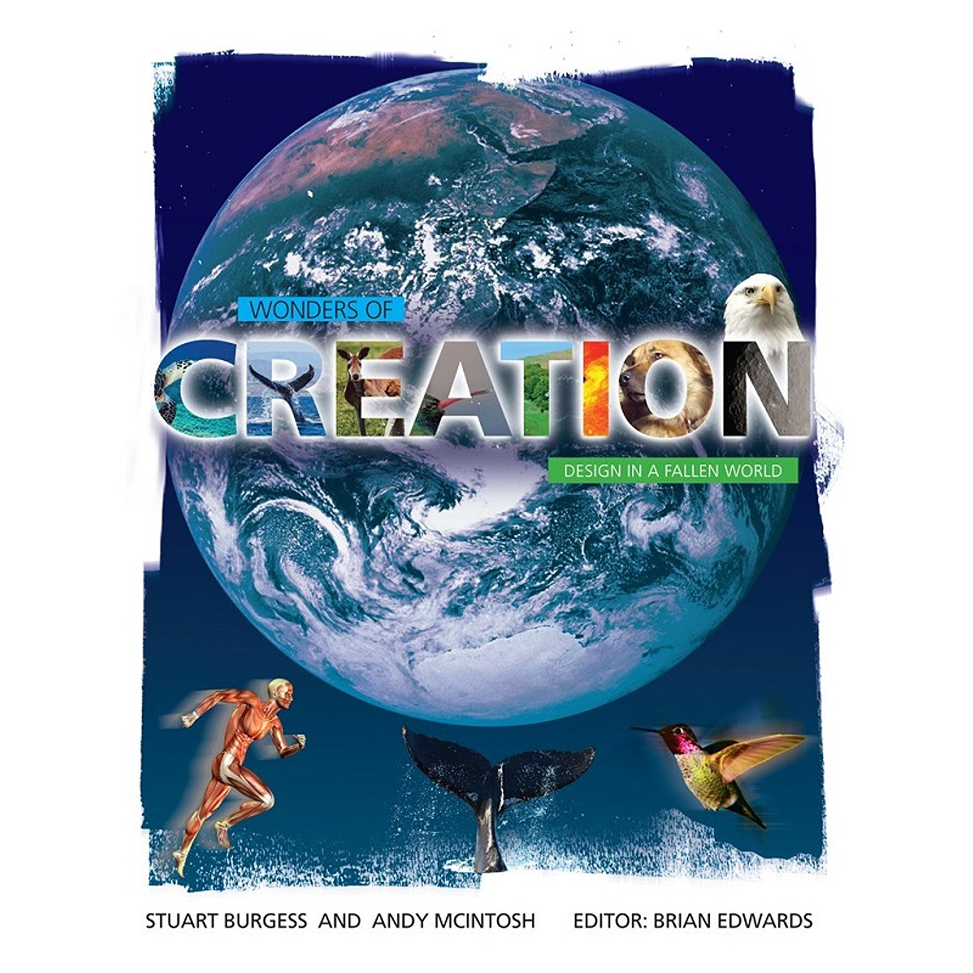 Wonders of Creation - Design in a Fallen World | Answers In Genesis UK ...