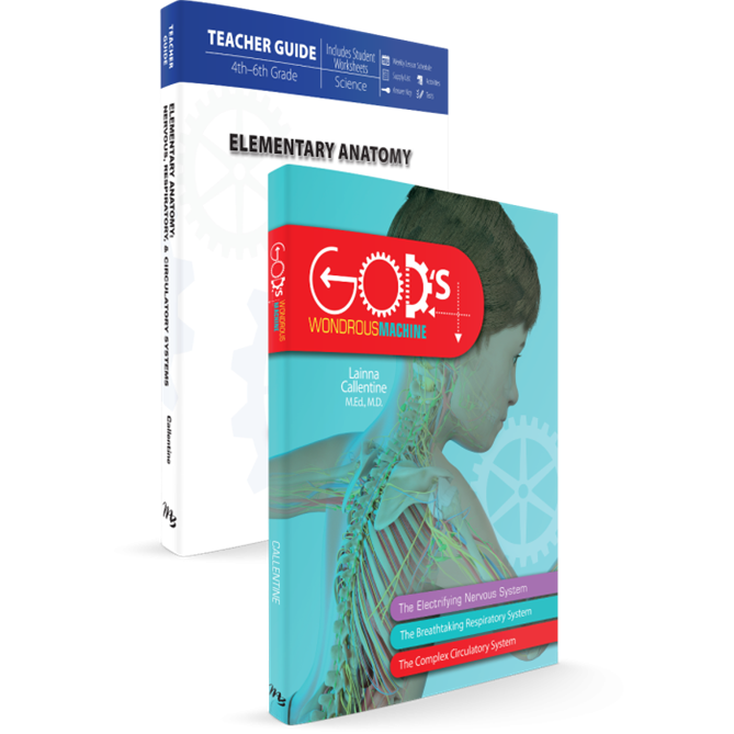 God's Wondrous Machine - Elementary Anatomy: Nervous, Respiratory, and ...