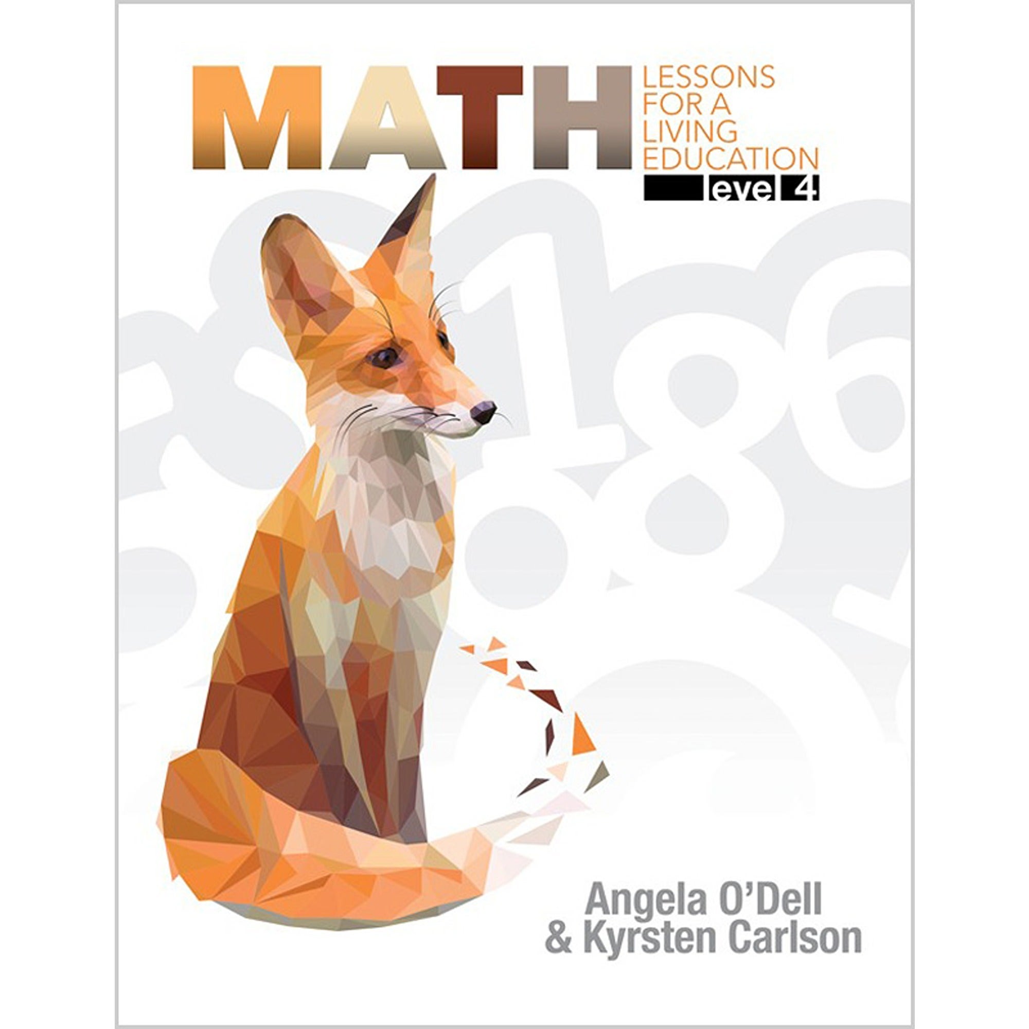 Maths Lessons for a Living Education: Level 4 | Answers In Genesis UK ...