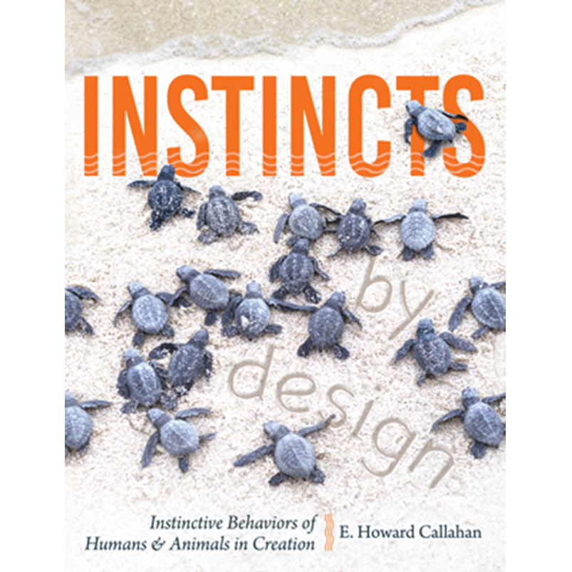 Instincts by Design | Answers In Genesis UK/Europe