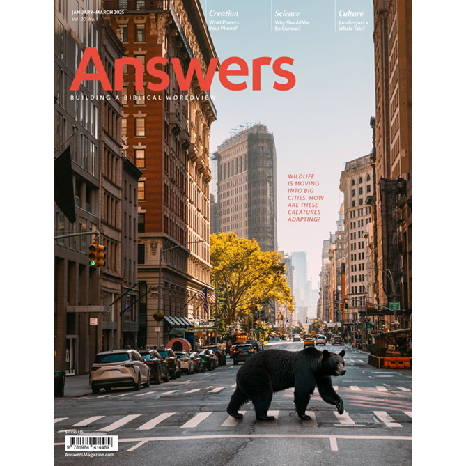 Answers Magazine - Vol. 20.1 | Answers In Genesis UK/Europe