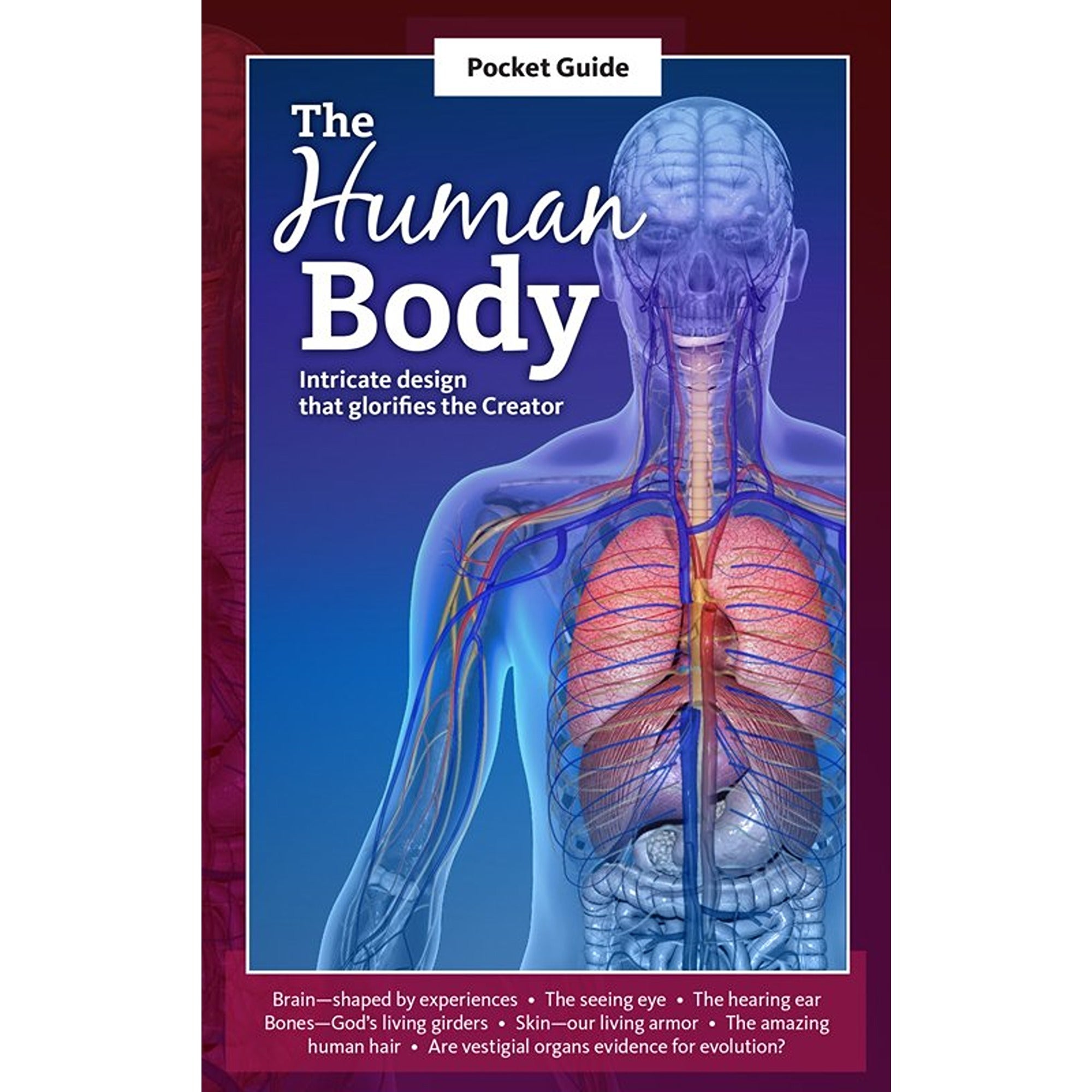 The Human Body Pocket Guide | Answers In Genesis UK/Europe